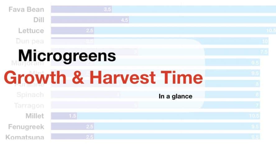 How long do microgreens take to grow? (with bar chart)