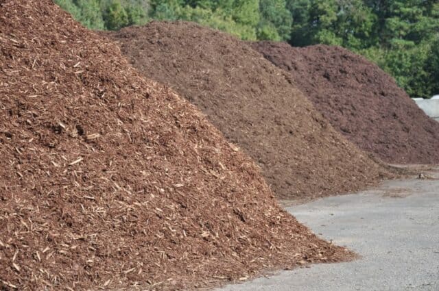 Cedar Mulch Pros and Cons: Is It Worth the Investment?
