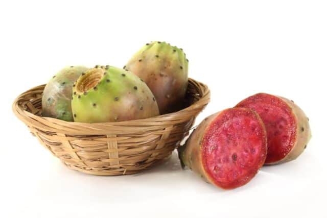 Cactus You Can Eat: Grow Your Own Edible Cactus Plants