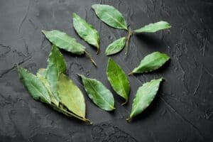 13 Powerful Plants That Repel Flies Naturally