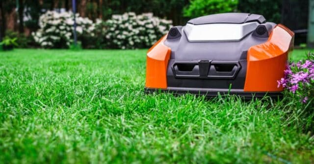 Best Robot Lawn Mowers for Small Gardens